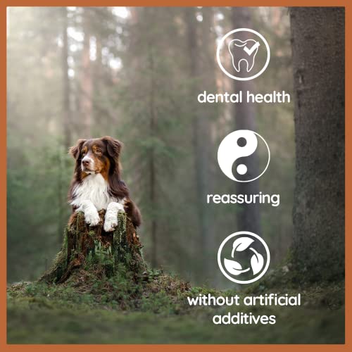 Wildfang® Olive wood for dogs – Wildfang Petcare