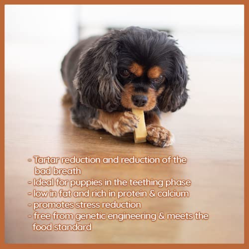 Wildfang Bunky® Hard cheese for dogs – Wildfang Petcare