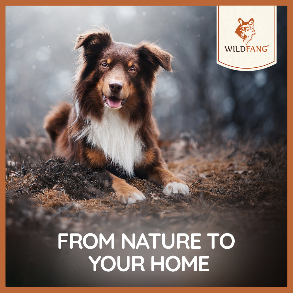 Wildfang® Coffee wood for dogs – Wildfang Petcare