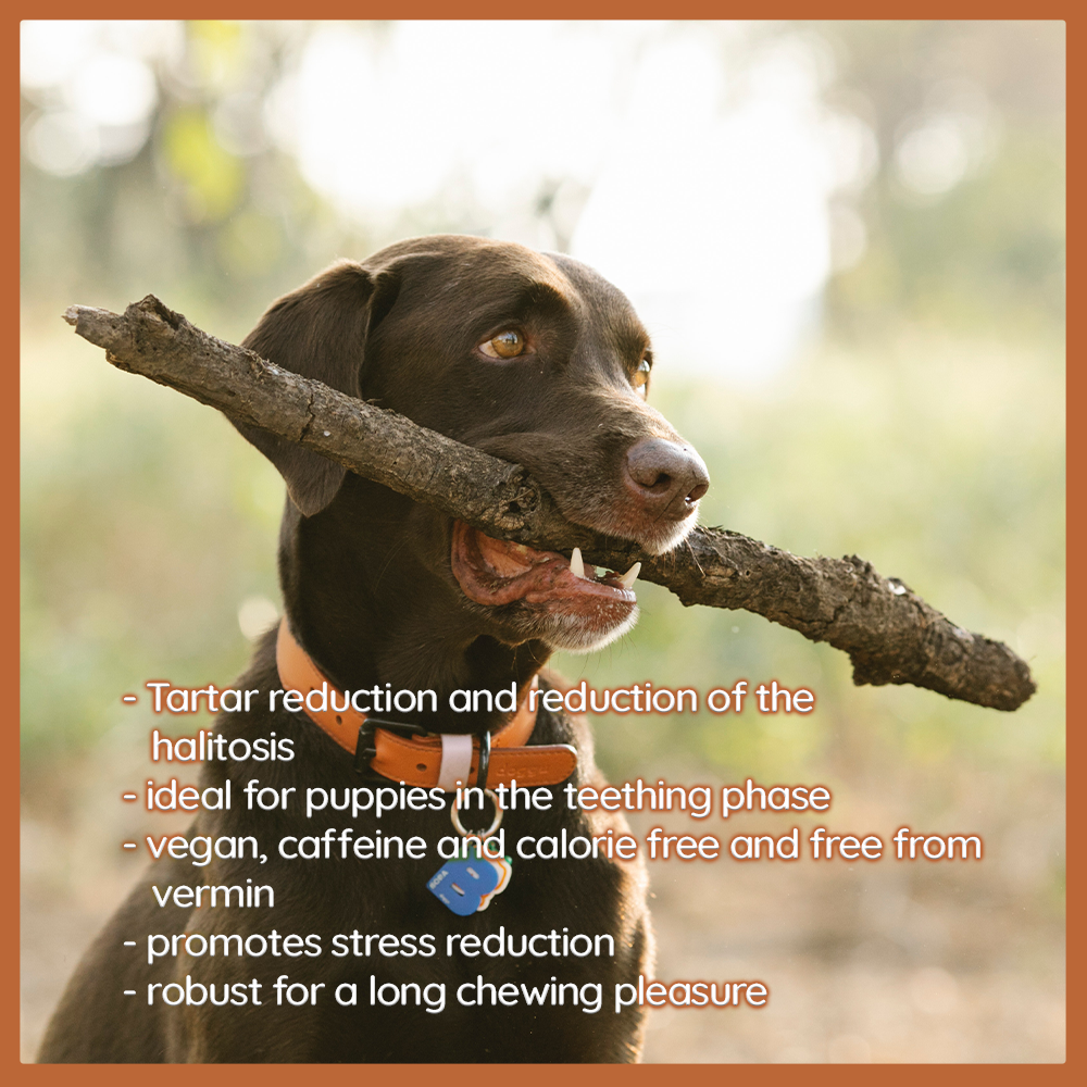 Wildfang® Coffee wood for dogs – Wildfang Petcare